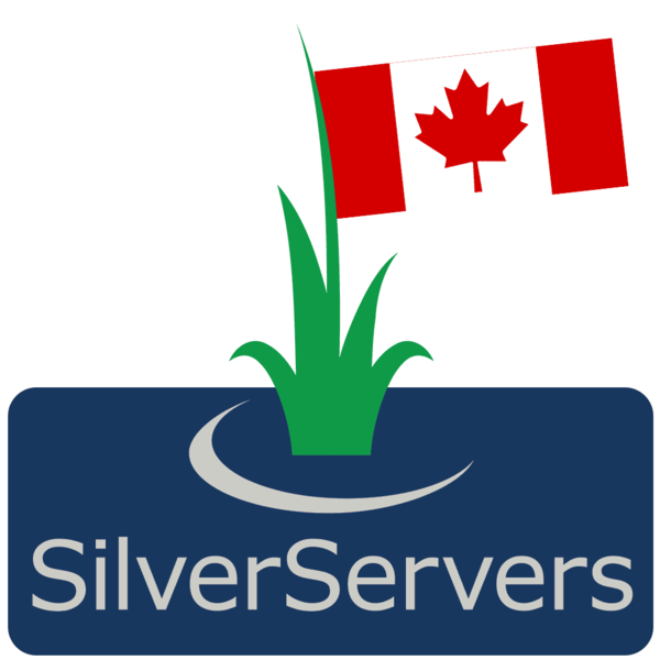 SilverServers Newsletter: July 2024 - News | SilverServers Inc.