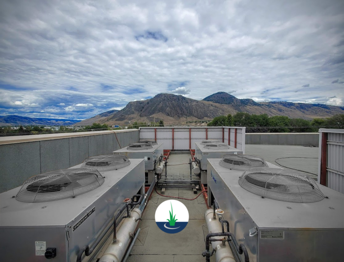 SilverServers Newsletter: August 2024 - News | SilverServers Inc.