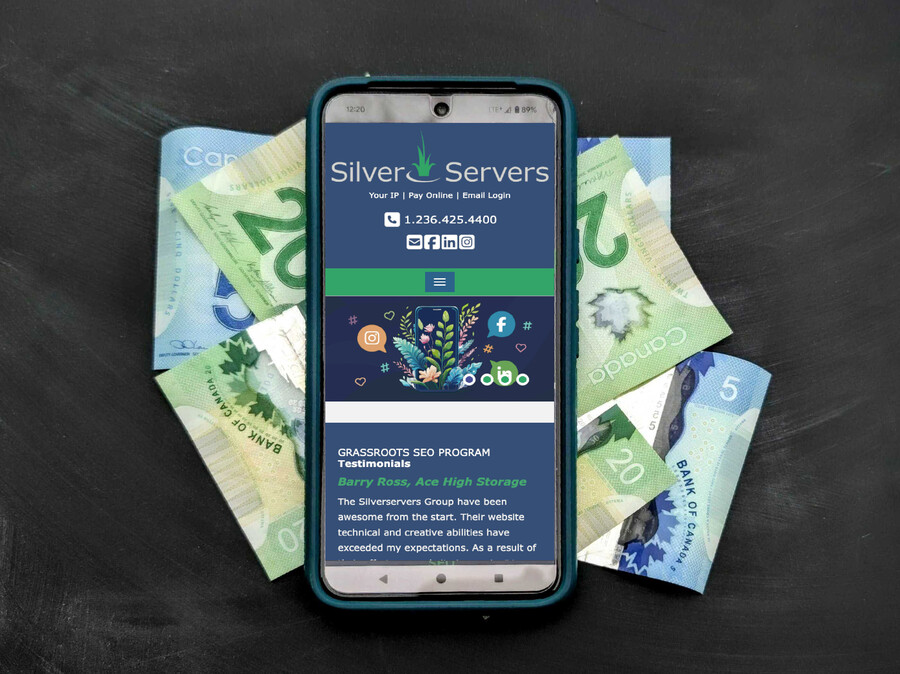 Your Domain Name Has Value – Here's How to Build It! - Domain Name and ...