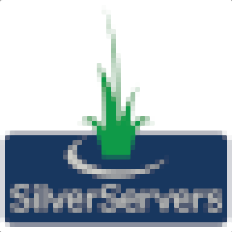 Website Image Optimization Tips - SEO Tips | SilverServers Inc.